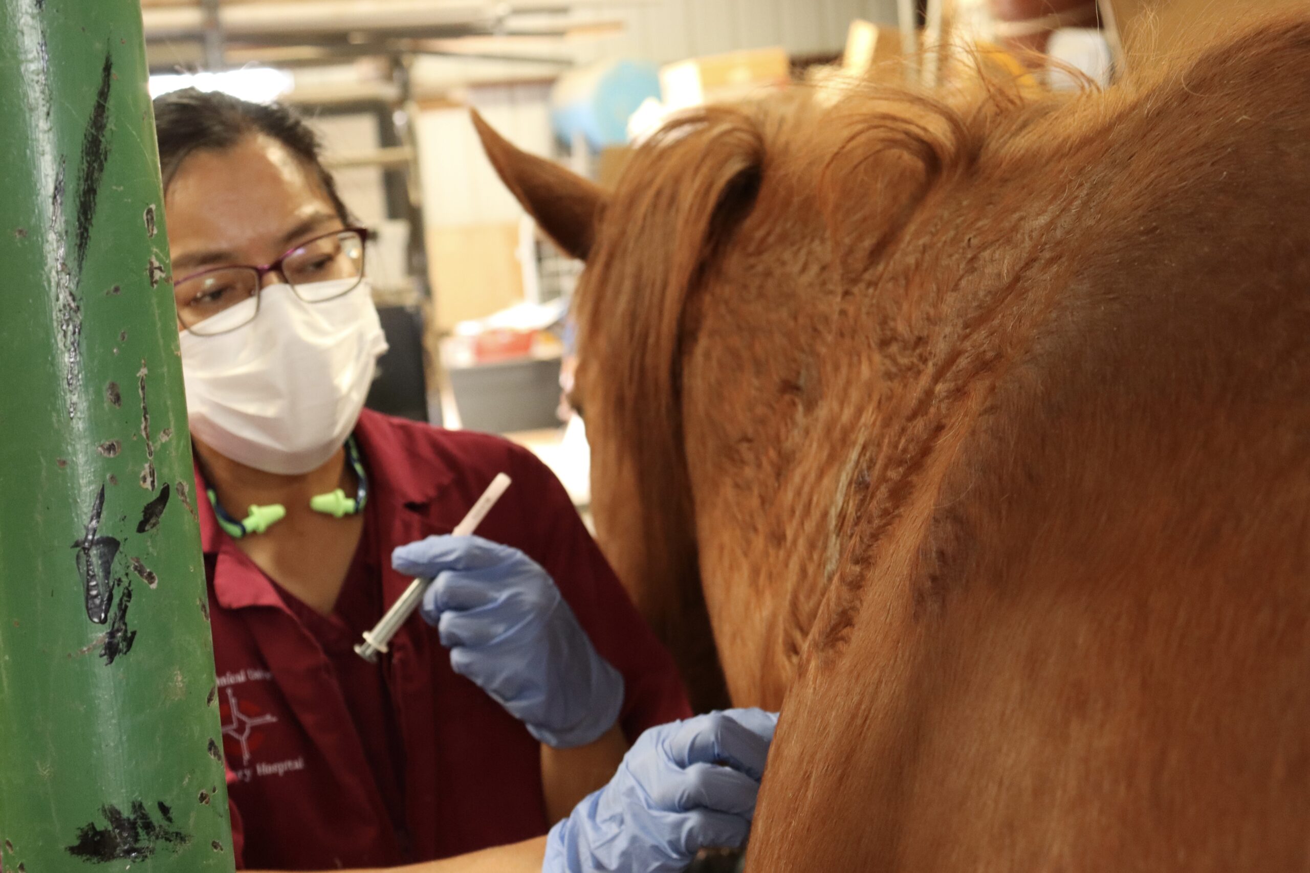 A Culture of Compassion | Native Science Report
